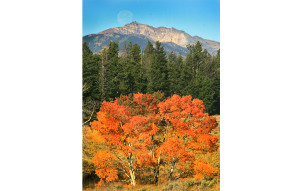 » Yellowstone Guided Photography Tour