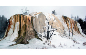 » Yellowstone Geology Tour