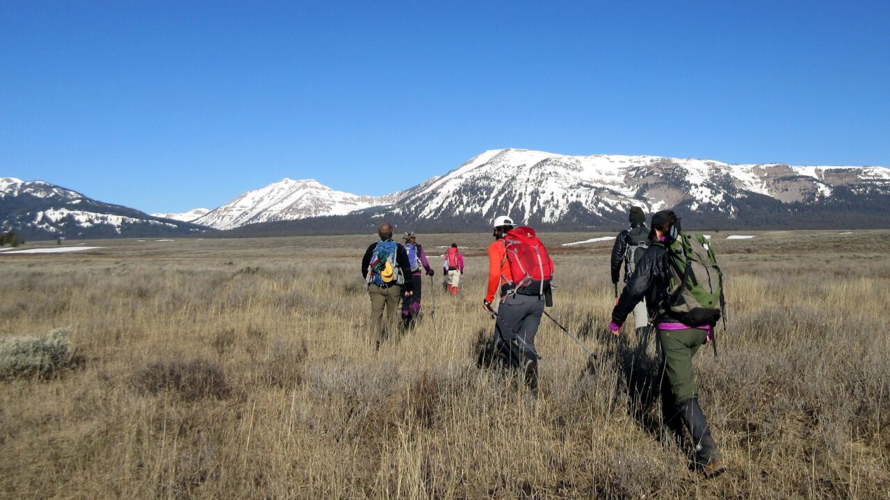 » Yellowstone Day Hiking Tour
