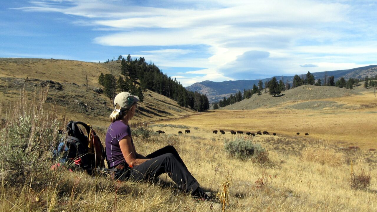 » Yellowstone Day Hiking Tour