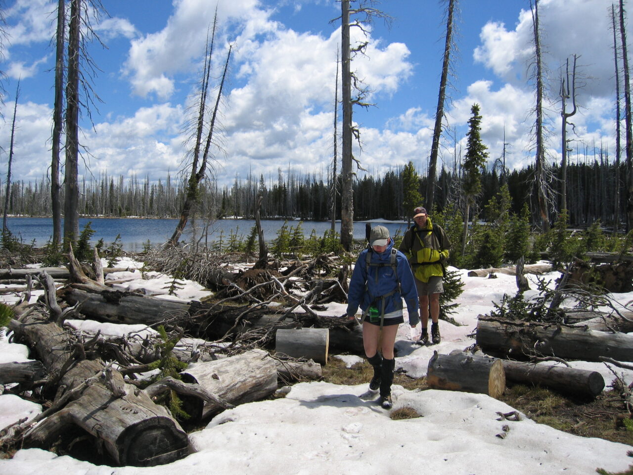 » Yellowstone Day Hiking Tour